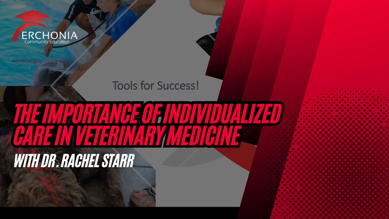 Importance of Individualized Care in Veterinary Medicine