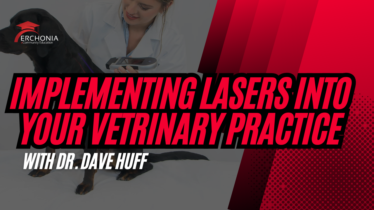 How to Implement Low Level Laser Therapy in Your Veterinary Practice ...