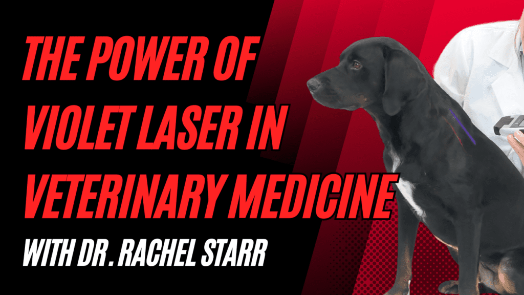 On-Demand Education - Erchonia