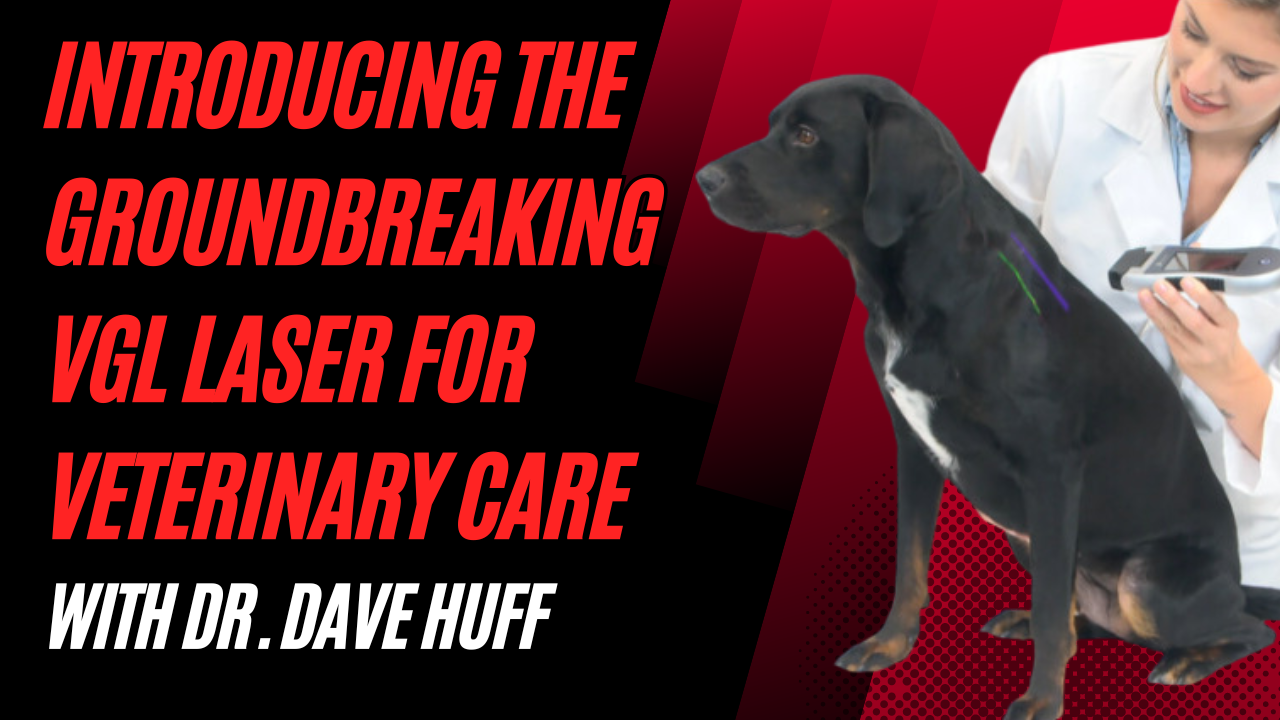 VGL Laser for Veterinary Care - Dr. Dave Huff