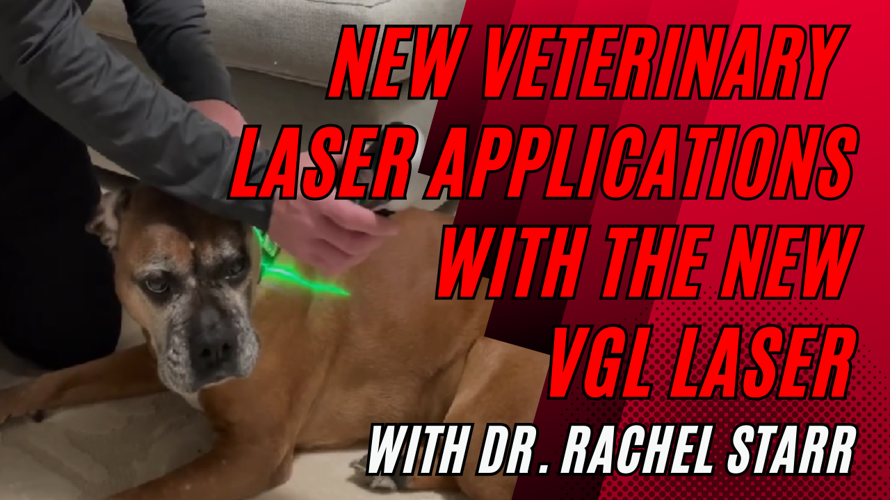 VGL Laser: New Laser Applications | Dr. Rachel Starr, DVM