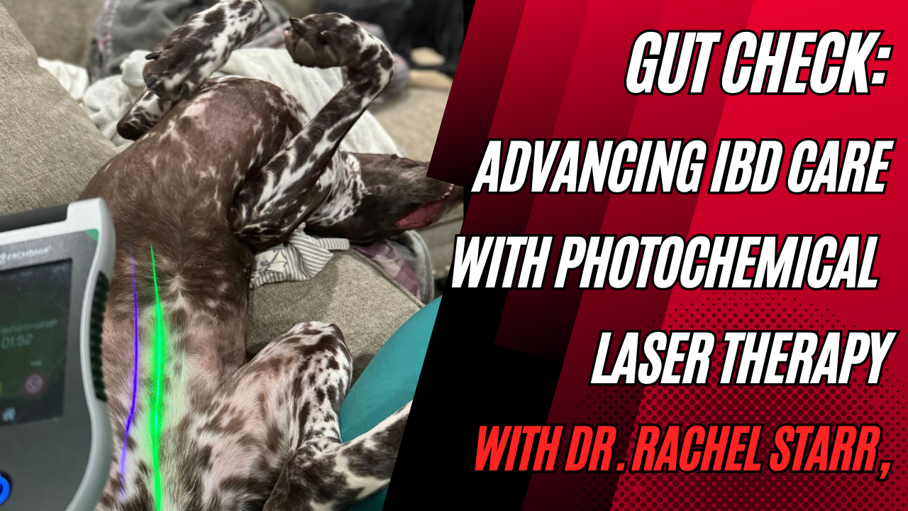 Hot Topic: Gut Check - Advancing IBD Care with Photochemical Laser ...
