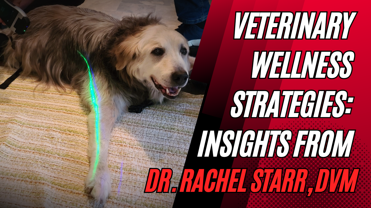 Hot Topic: Veterinary Wellness Strategies: Insights from Dr. Rachel ...